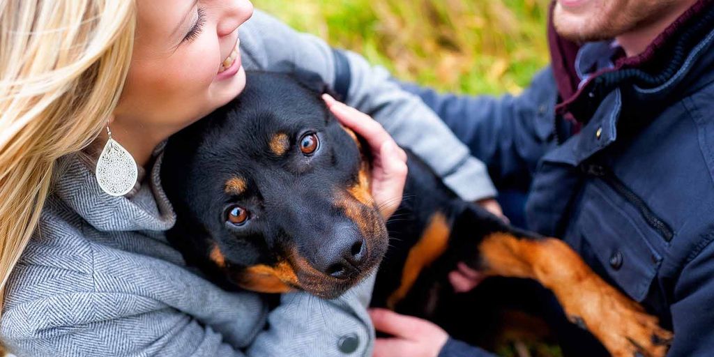 The Ultimate Pet Health Guide: Essential Tips for Your Pet's Wellbeing ...