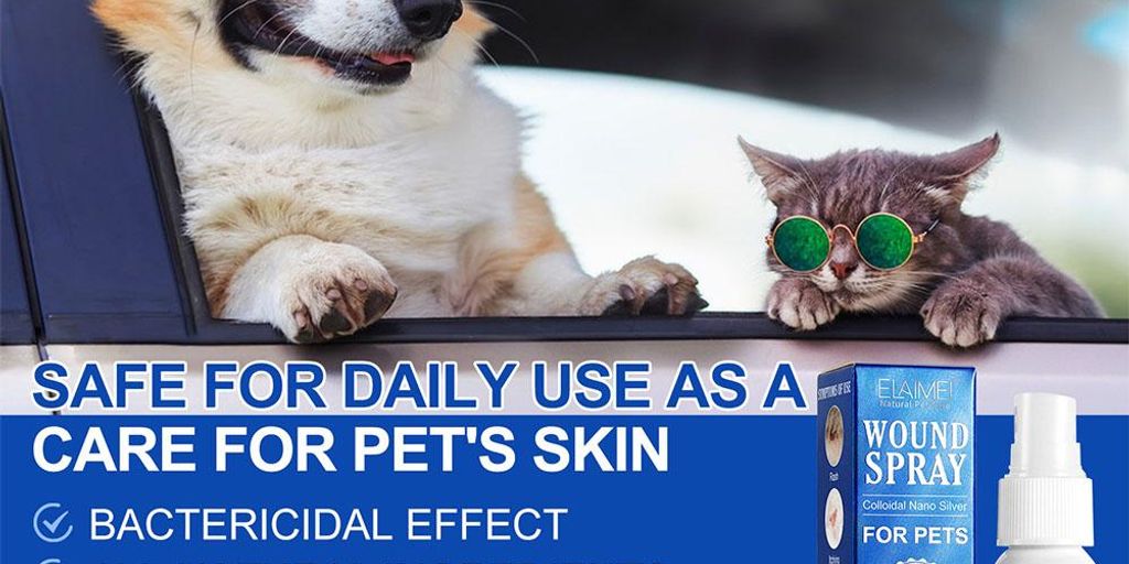 Top Reasons to Use Hot Spot Spray for Dogs – Pet Health Pros