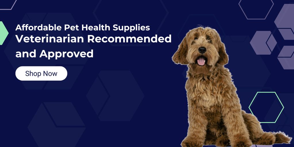 A Guide to Antiseptic Flush for Dogs: When and How to Use It – Pet ...