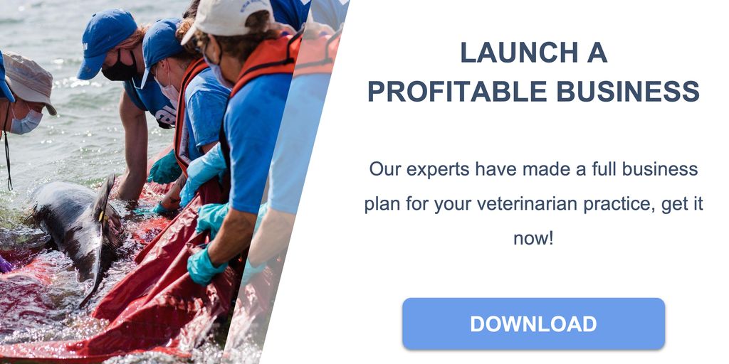 Finding the Best Vets Near Me with Wellness Plans – Pet Health Pros