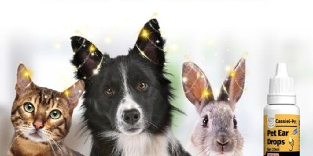 Effective Dog Ear Drops for Infection Prevention – Pet Health Pros