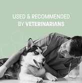 Understanding Vetmedin for Dogs: Benefits, Dosage, and Side Effects ...