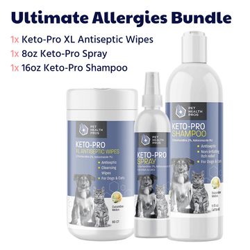 Cat Illness Symptom Checker: How to Identify and Act – Pet Health Pros